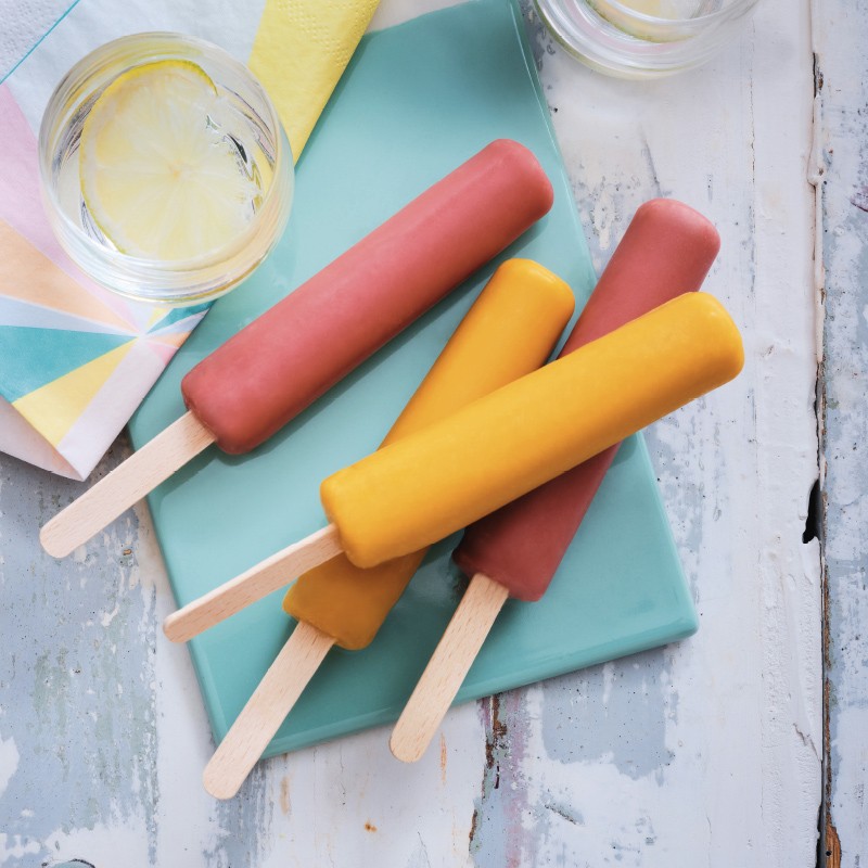 Picard Réunion - 6 bâtonnets aux fruits